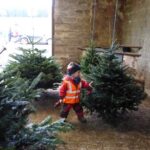 Glaisters Christmas Tree Farm Shop - Scottish Christmas Trees